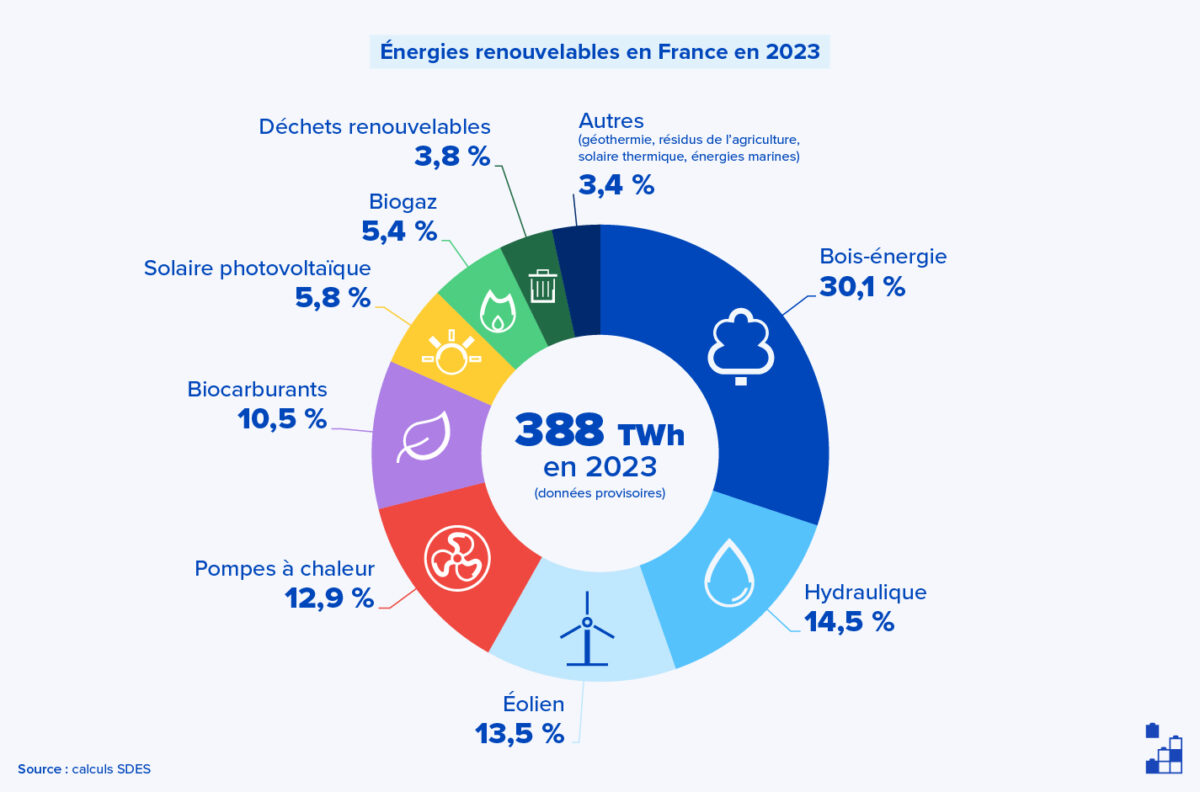 Biomasse : une énergie renouvelable expliquée simplement